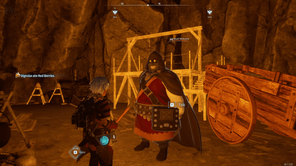 All Black Marketeer NPC Locations In Palworld